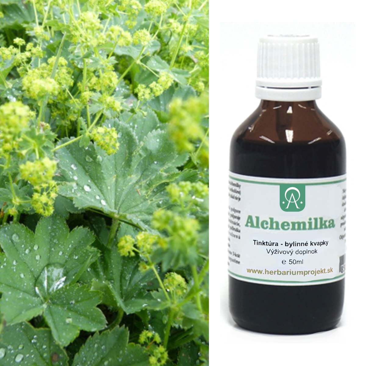 Alchemilka, tinktúra pre ženy, 50ml ~ Herbárium Projekt